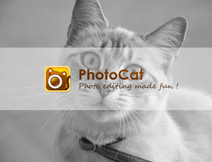 Hướng dẫn cách xóa phông trên máy tính với Photocat