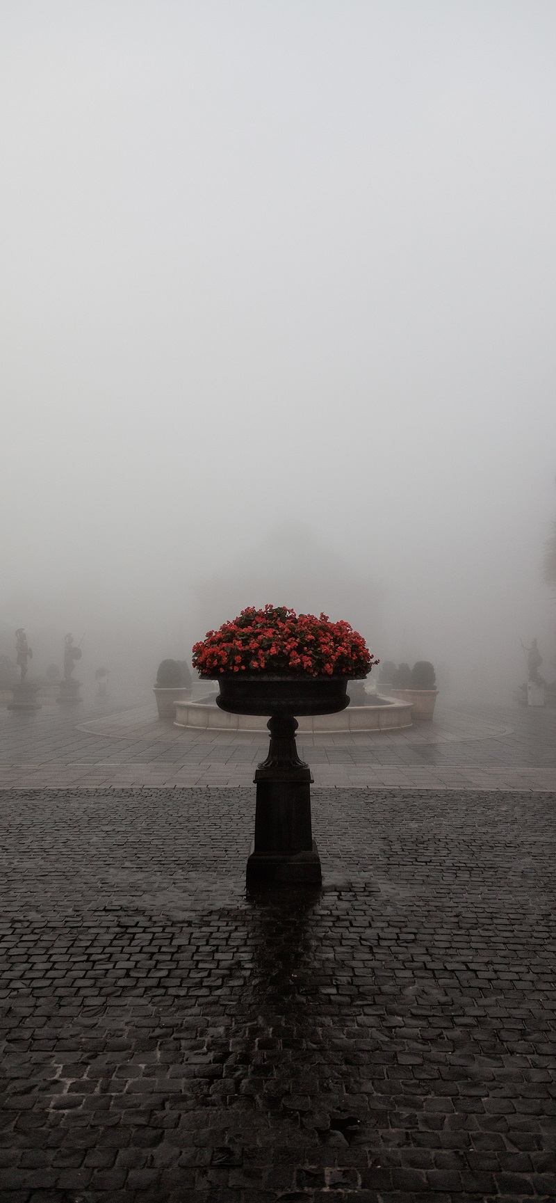 Tải bộ hình nền chủ đề sương mù đẹp dành cho iPhone