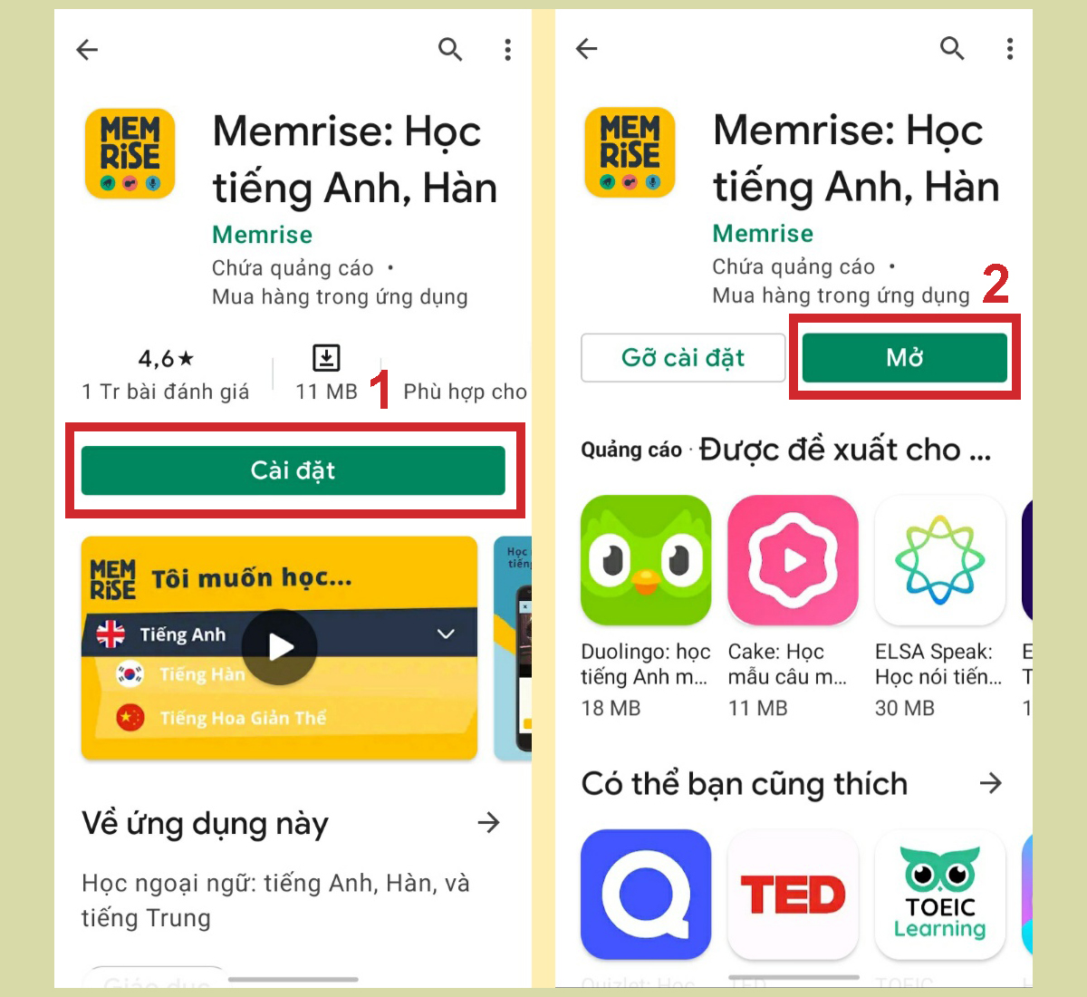 Memrise App - Hướng dẫn cách tải và sử dụng hiệu quả nhất