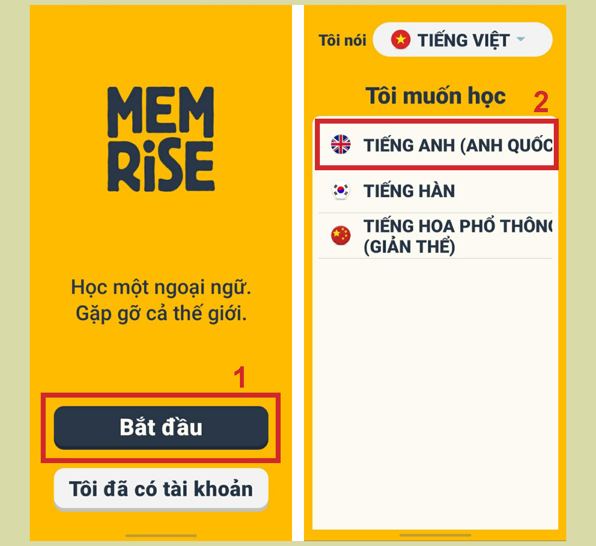 Memrise App - Hướng dẫn cách tải và sử dụng hiệu quả nhất