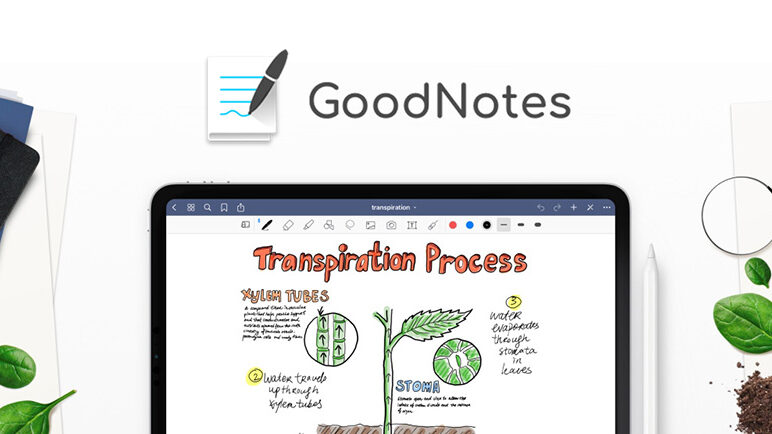 Hướng dẫn Cách viết chữ đẹp trên GoodNote Với những mẹo đơn giản