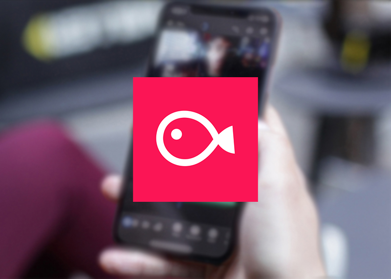 App VLLO là gì? Cách sử dụng VLLO chỉnh sửa video đơn giản
