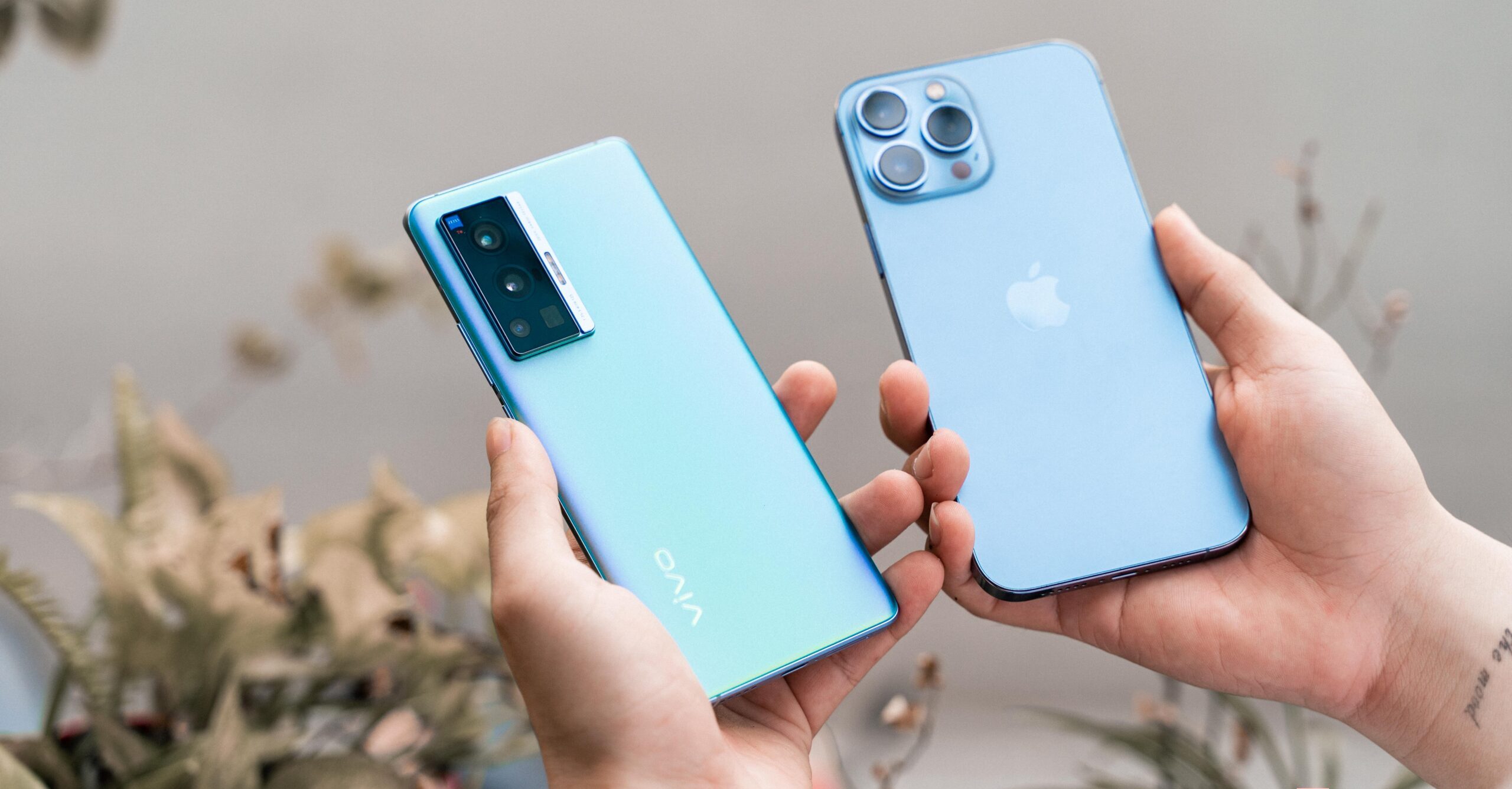 Đọ camera Vivo X70 Pro và iPhone 13 Pro Max: "Kẻ tám lạng, người nửa cân"