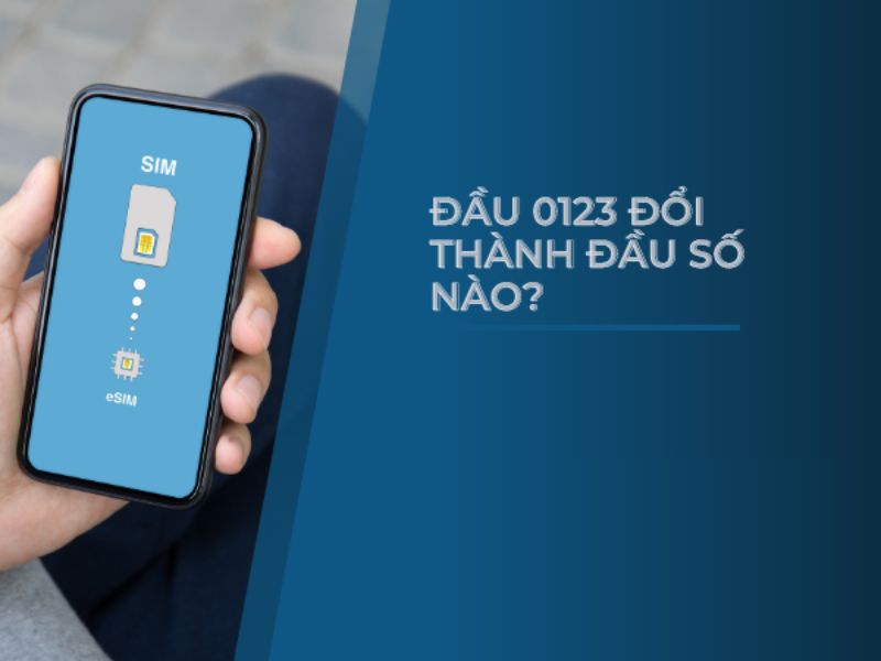 Đầu số 0123 đổi thành gì? Lưu ý khi chuyển đổi đầu 0123 Sforum.vn