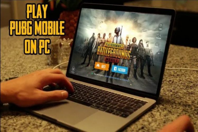 Hướng dẫn 3 cách tải PUBG PC đơn giản, không mất phí | Sforum