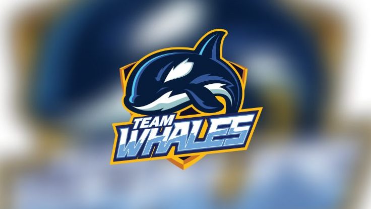 LMHT: Bie chính thức gia nhập Team Whales khu vực VCS