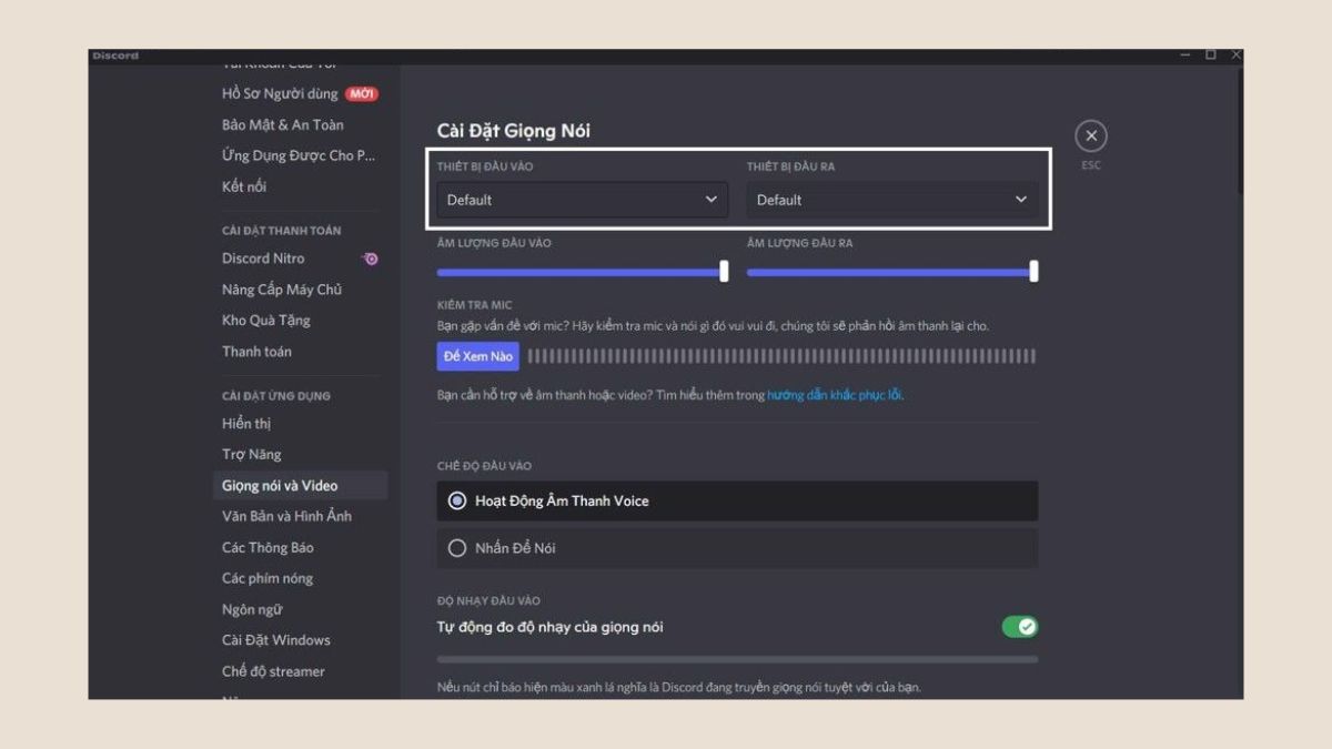 Discord là gì? Cách sử dụng Discord trên điện thoại máy tính