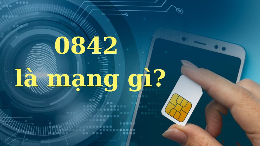 0842 là mạng gì? Những lý do nên sở hữu sim đầu số 0842