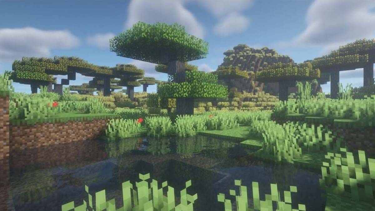 Hướng dẫn tải, cài đặt Shader (Mod Minecraft) đơn giản nhất