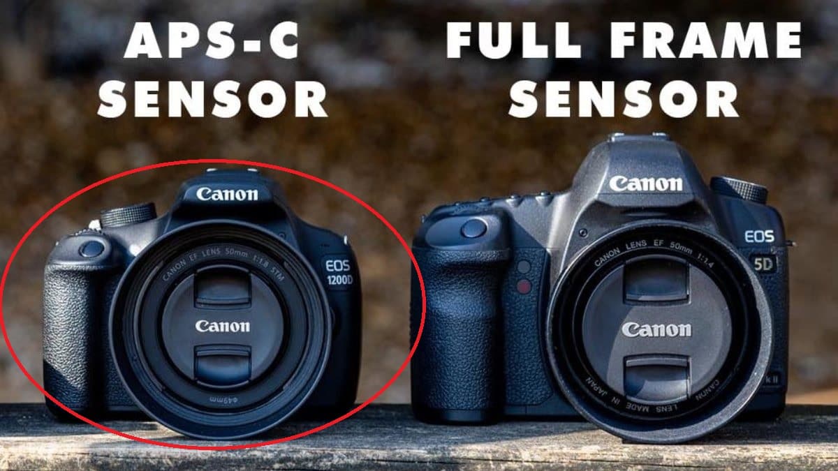 Các loại cảm biến máy ảnh thông dụng? So sánh ưu nhược điểm