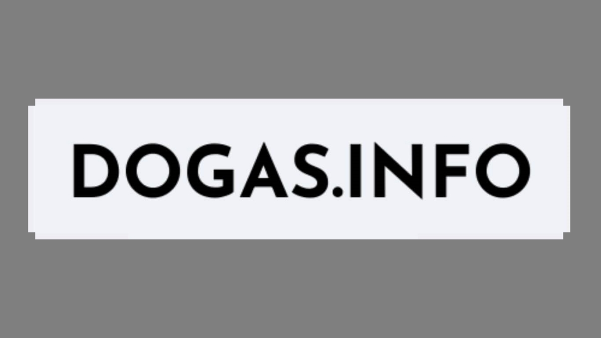 Cách tải Dogas Info miễn phí trên điện thoại Android, IOS