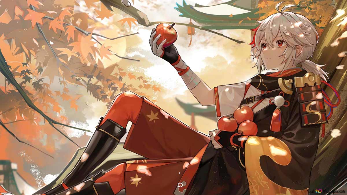 Những lý do Kazuha vẫn giữ chắc vị thế dù meta hệ Thảo đang thống trị ...