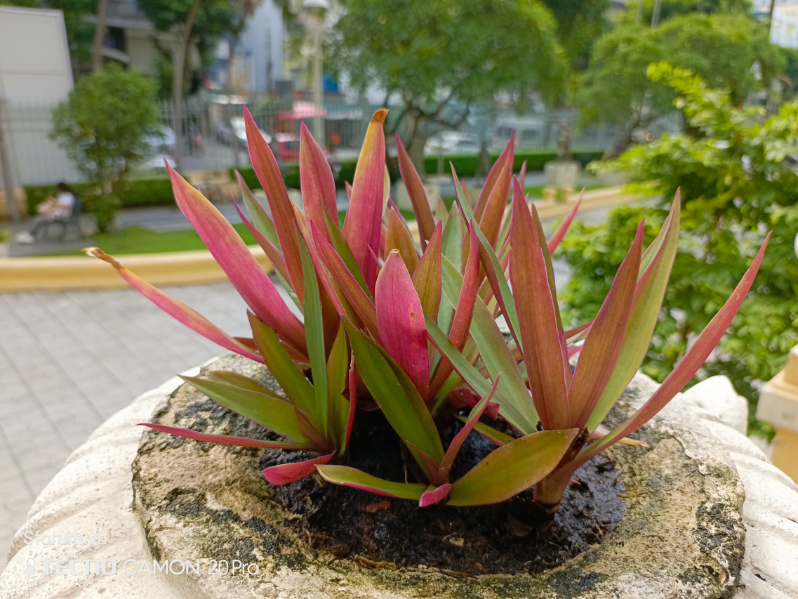 Đánh giá chi tiết TECNO CAMON 20 Pro: Chiếc máy khó tìm được điểm chê ...