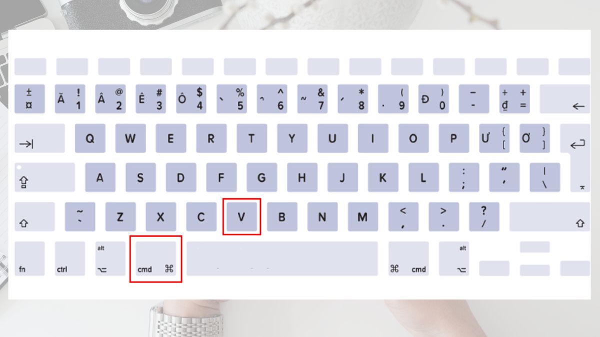 Hướng dẫn cách Copy Paste trên Macbook cực dễ dàng