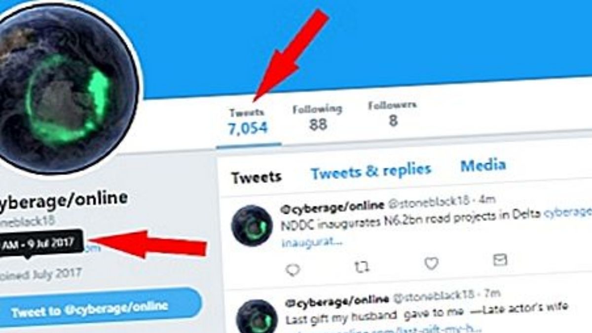 Twitter Bot là gì? Cách tạo và nhận diện một Twitter Bot