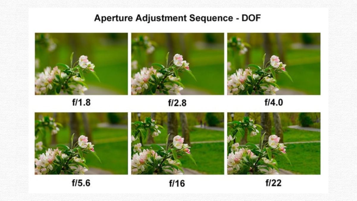 Khẩu độ f là gì? Nó đóng vai trò như thế nào trong nhiếp ảnh?