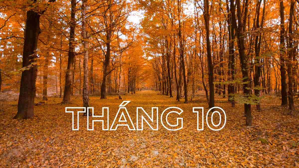 Tháng 10 có bao nhiêu ngày theo Âm lịch và Dương lịch