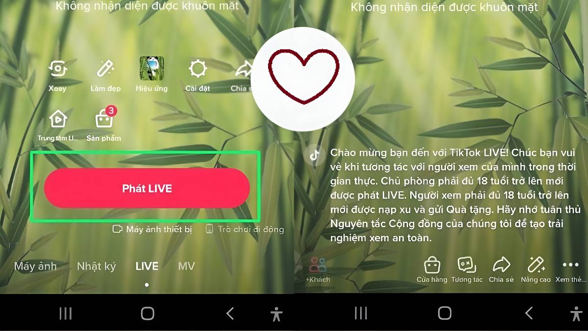 TikTok LIVE: Cách livestream trực tiếp trên TikTok hiệu quả