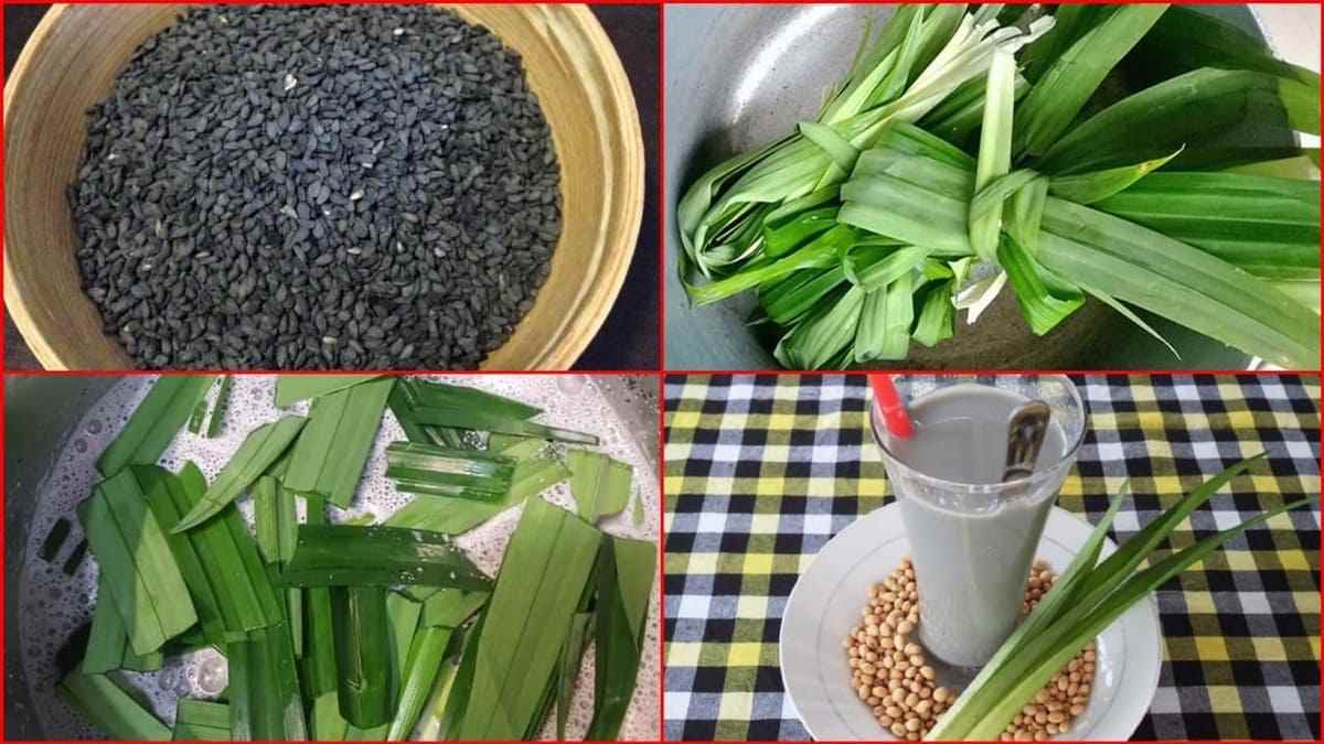 8+ công thức nấu sữa mè đen bằng máy làm sữa hạt thơm ngon