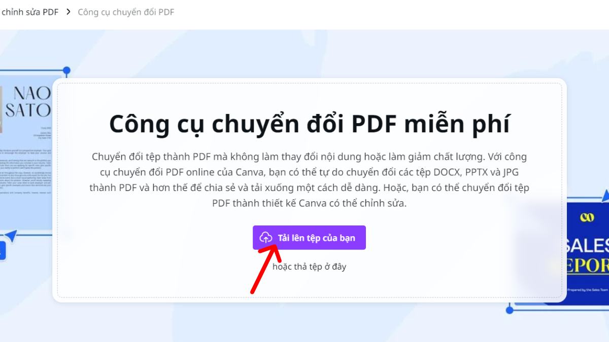 Cách tạo file PDF nhanh chóng, xuất file chỉ trong 1 phút