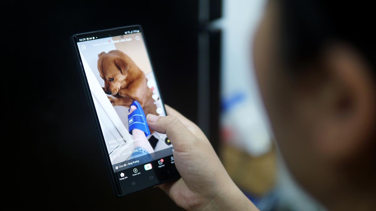 Zalo Video là gì? Cách đăng ký tài khoản Zalo Video Creator