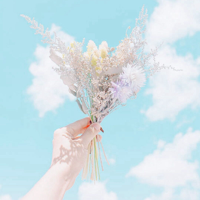 Sưu tầm 150+ hình Avatar đẹp nhất thế giới làm ảnh đại diện