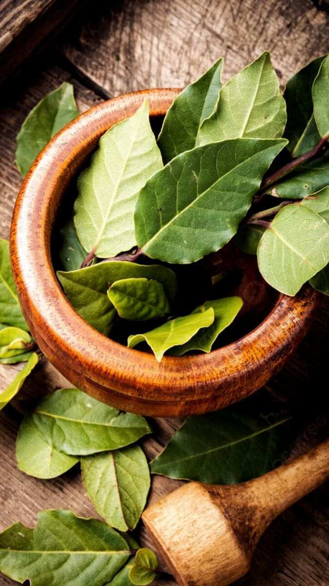 Tổng hợp 30+ hình nền lá nguyệt quế đẹp, chất lượng 4K