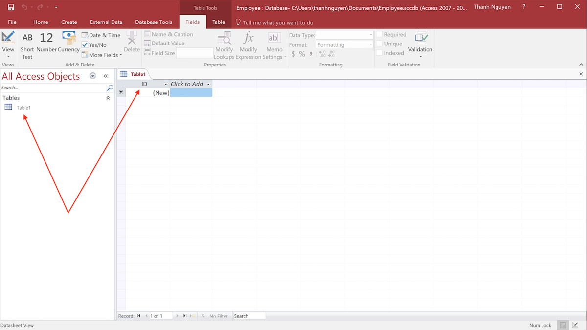 Access là gì? Hướng dẫn sử dụng Microsoft Access