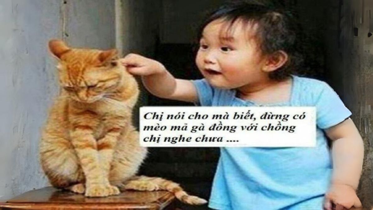 100+ ảnh meme hài hước, hài bựa vui nhộn mới nhất