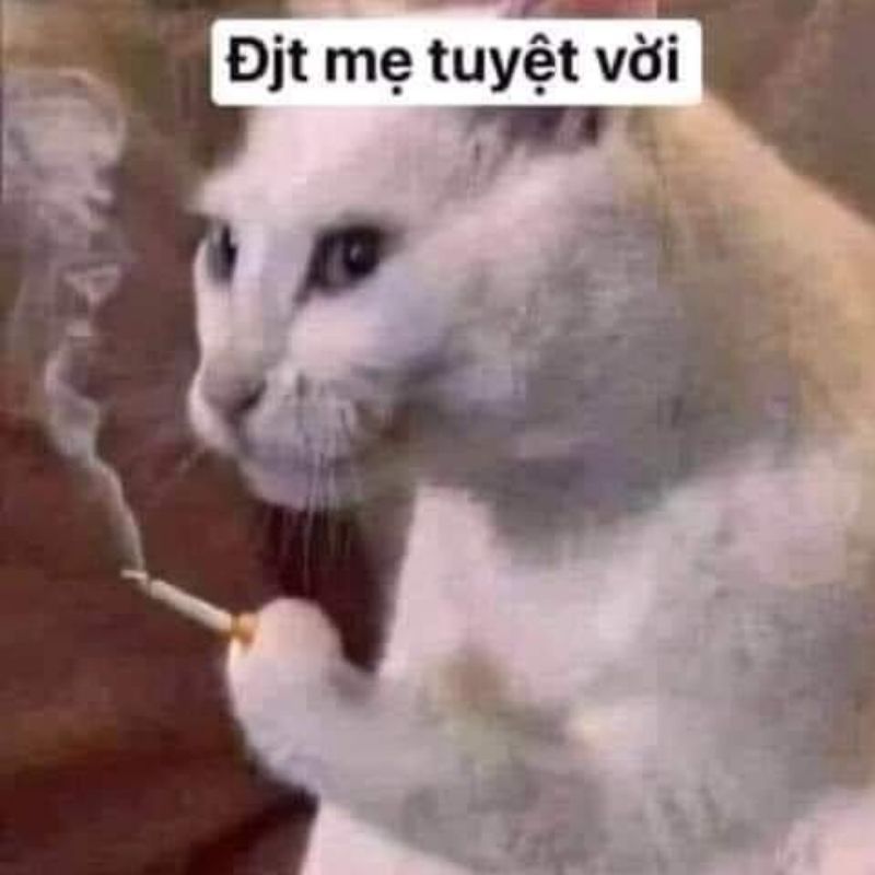 100+ ảnh meme hài hước, hài bựa vui nhộn mới nhất