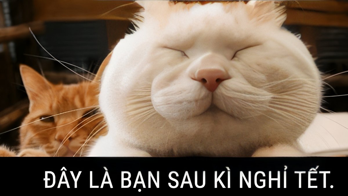 Tổng hợp 80+ meme Tết hài hước, thú vị chúc mừng năm mới
