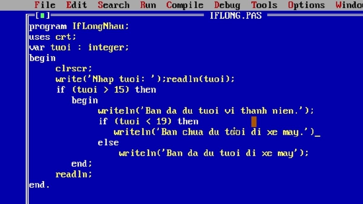 Pascal là gì? Tìm hiểu các phần tử và câu lệnh trong Pascal