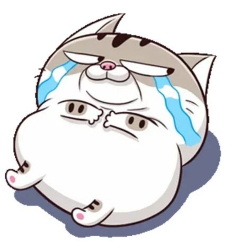 99+ Avatar ảnh mèo cute, đáng yêu, ngộ nghĩnh siêu hot