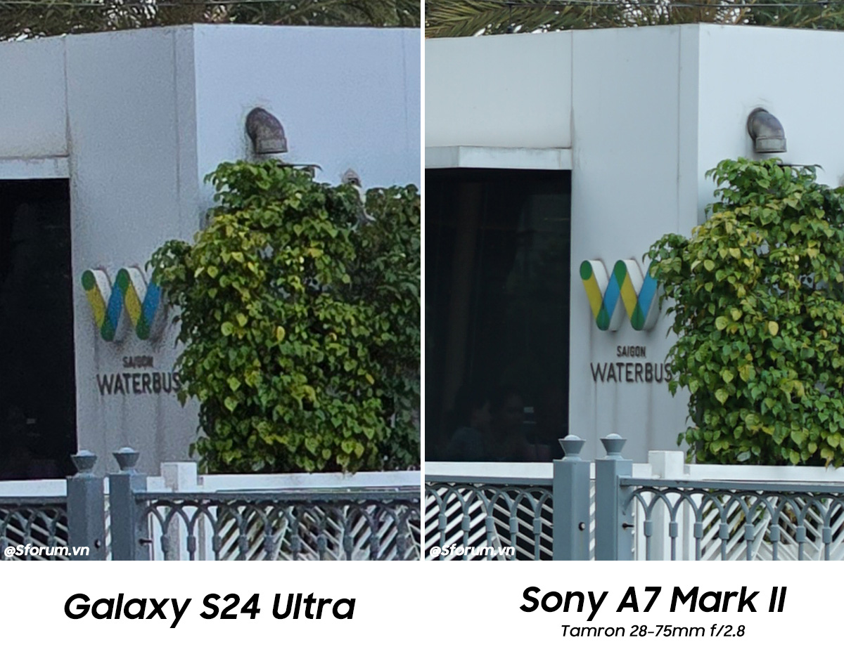 Mang Galaxy S24 Ultra đi đụng độ "già gân" 10 năm tuổi Sony A7 Mark II: Liệu kèo này có cân?
