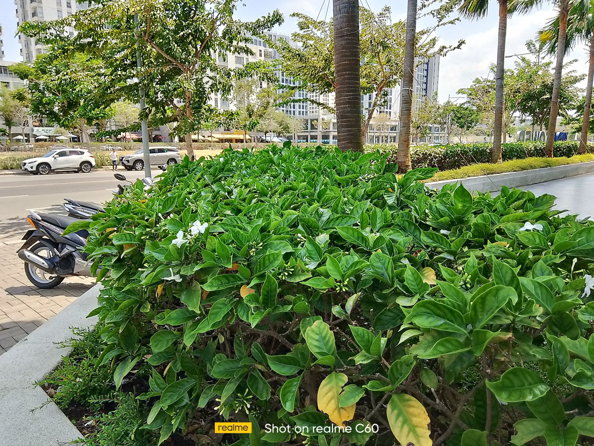 Đánh giá realme C60: Màn lớn, pin trâu, thiết kế đẹp, chiếc máy rất ...