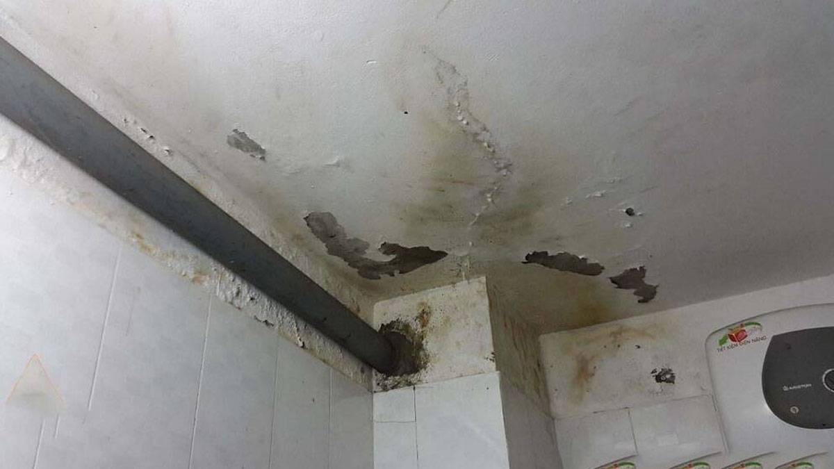 Nồm là gì? Nguyên nhân xuất hiện nồm và cách khắc phục