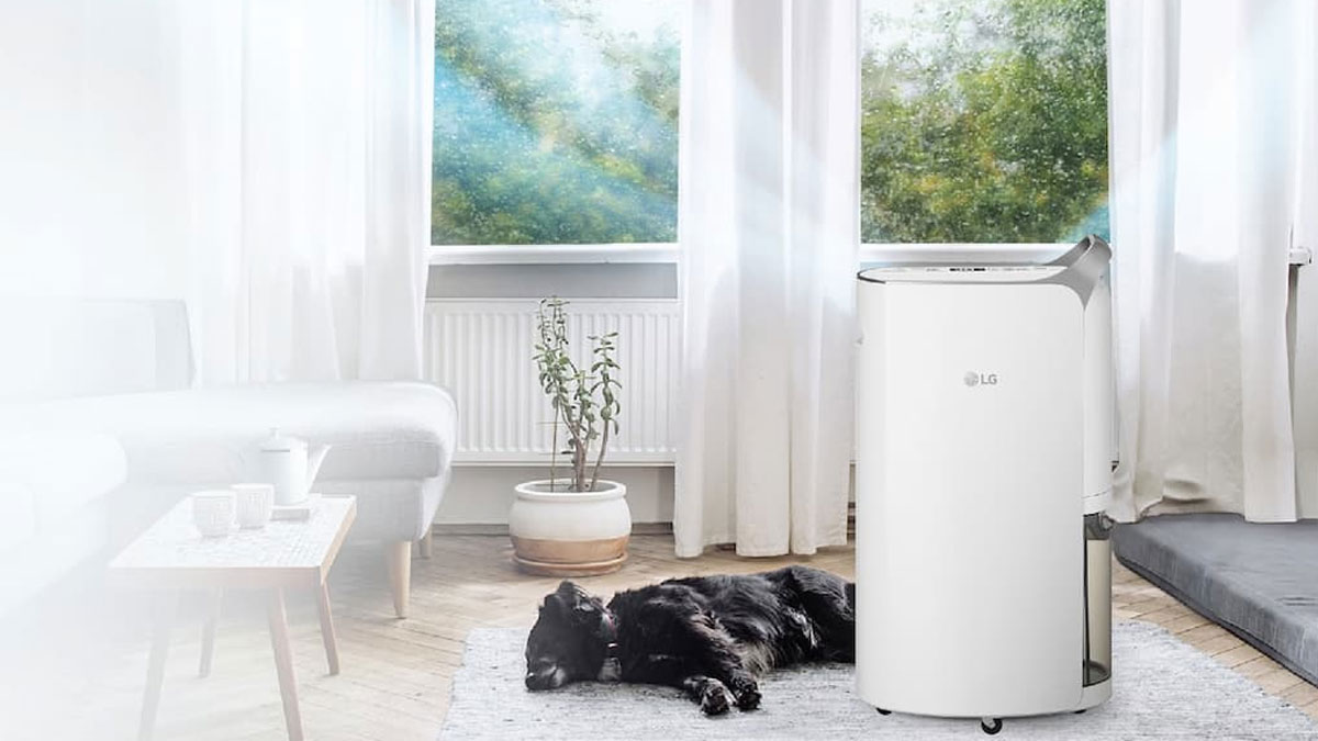 Nồm là gì? Nguyên nhân xuất hiện nồm và cách khắc phục